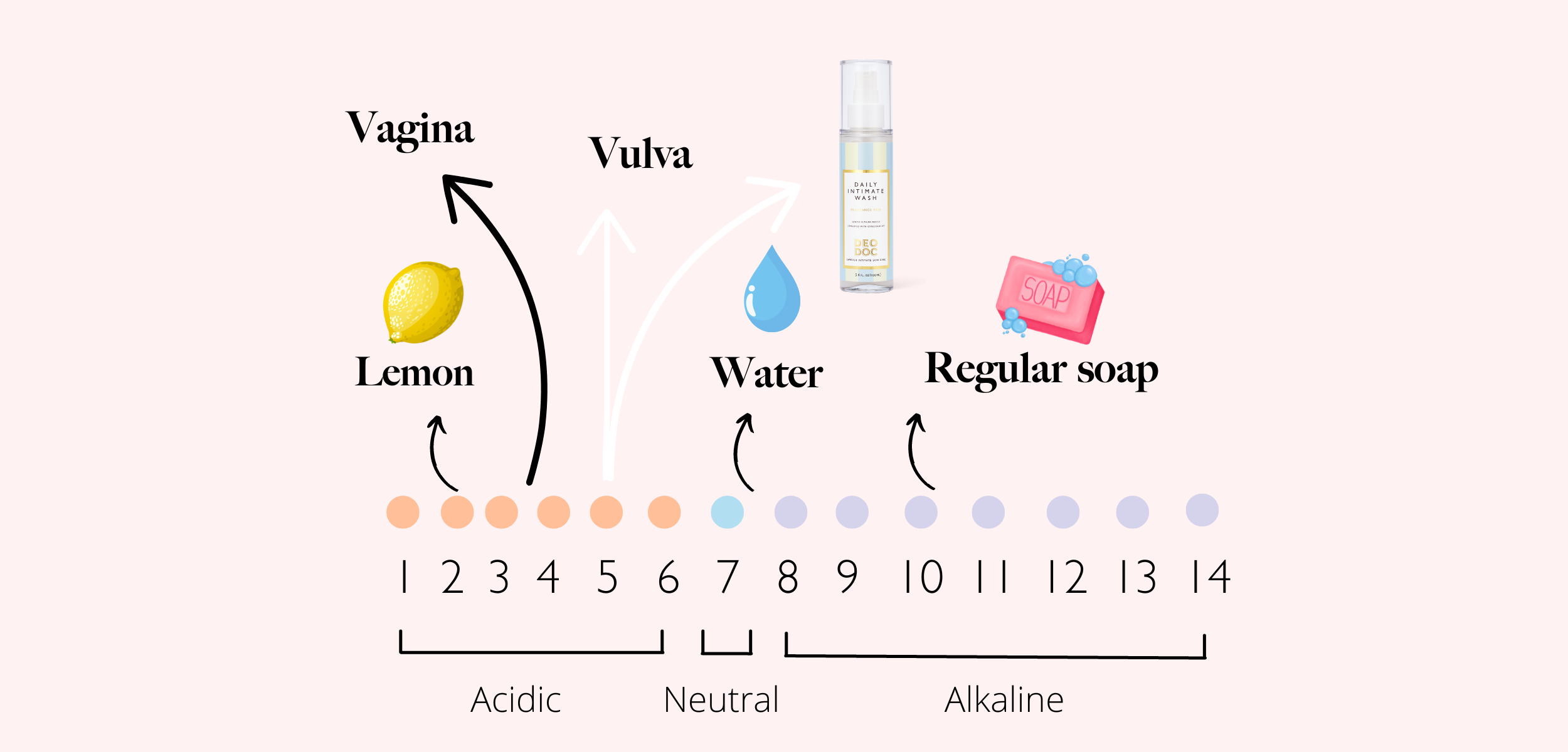 WHY DOES YOUR VULVA’S PH MATTER? – DeoDoc
